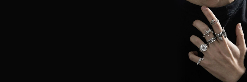 Buy Sterling Silver Rings and Necklaces – Theswaf